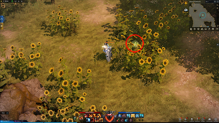 Sunflower Island Guide - Lost Ark - Icy Veins