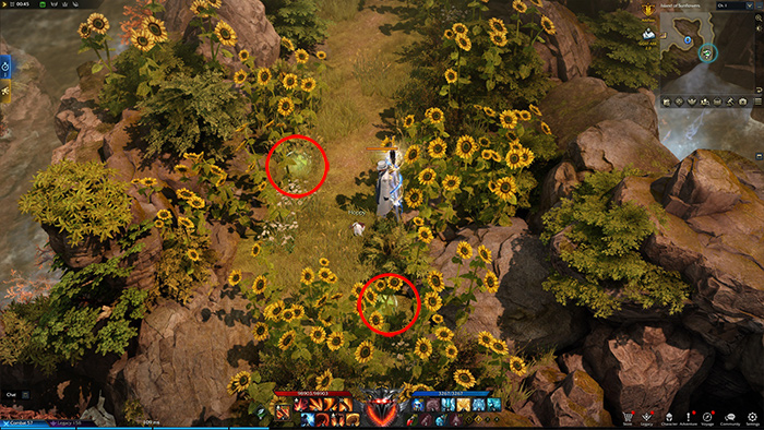 Sunflower Island Guide - Lost Ark - Icy Veins